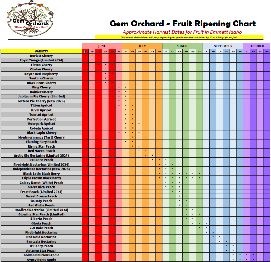 Home - 💎Gem Orchards-Located In Emmett, ID